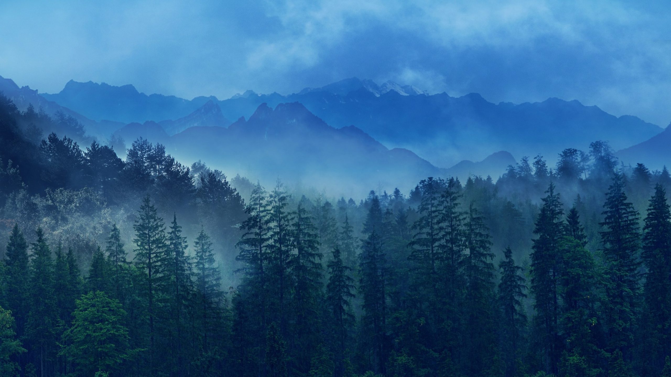 Les Roches 1500 | Hôtel Restaurant Spa à Sommand Haute Savoie